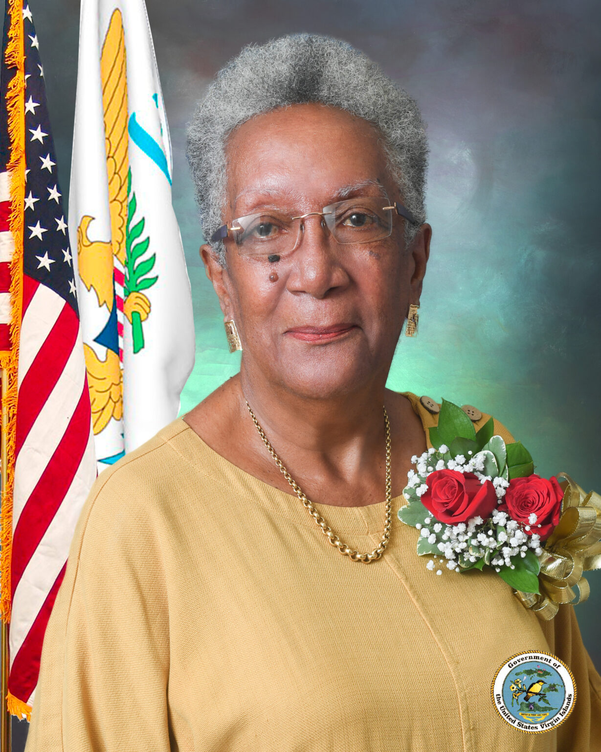 Board Members - VIBOE
